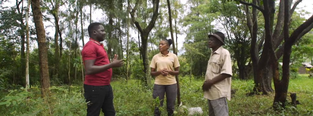 Shamba Shape Up: KenBro Chicken, Climate Change and Trees - myfarmtrees.org